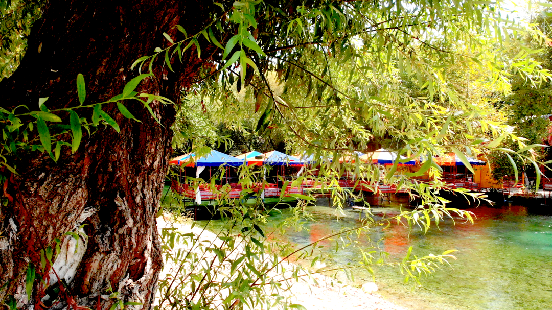 DIMCAY ALANYA: PIKNIK ON THE DIM RIVER; WE LOVE ALANYA